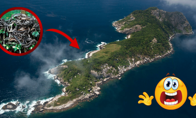 El paraíso prohibido de Brasil donde "aterrizar es no salir": Conoce la ...